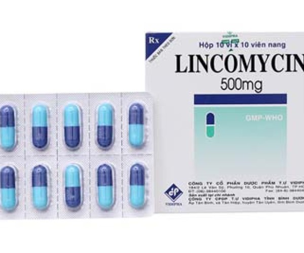 Lincomycin 500mg Vidipha (10 vỉ x 10 viên/hộp) | Thuốc kháng sinh