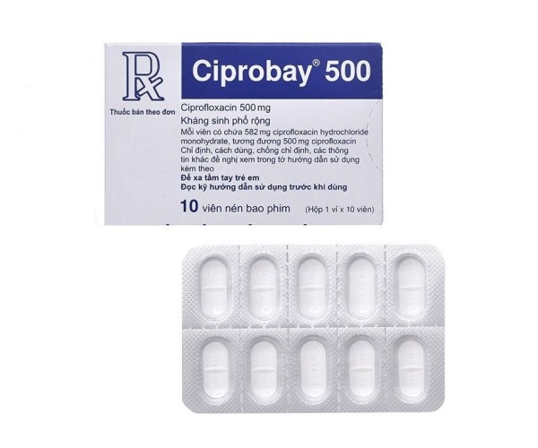 Ciprobay 500mg (10 viên/hộp) | Thuốc kháng sinh